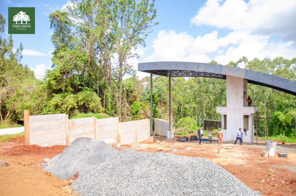 Thika Grove Chania - Carol Njama