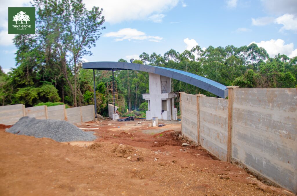 Thika Grove Chania - Carol Njama